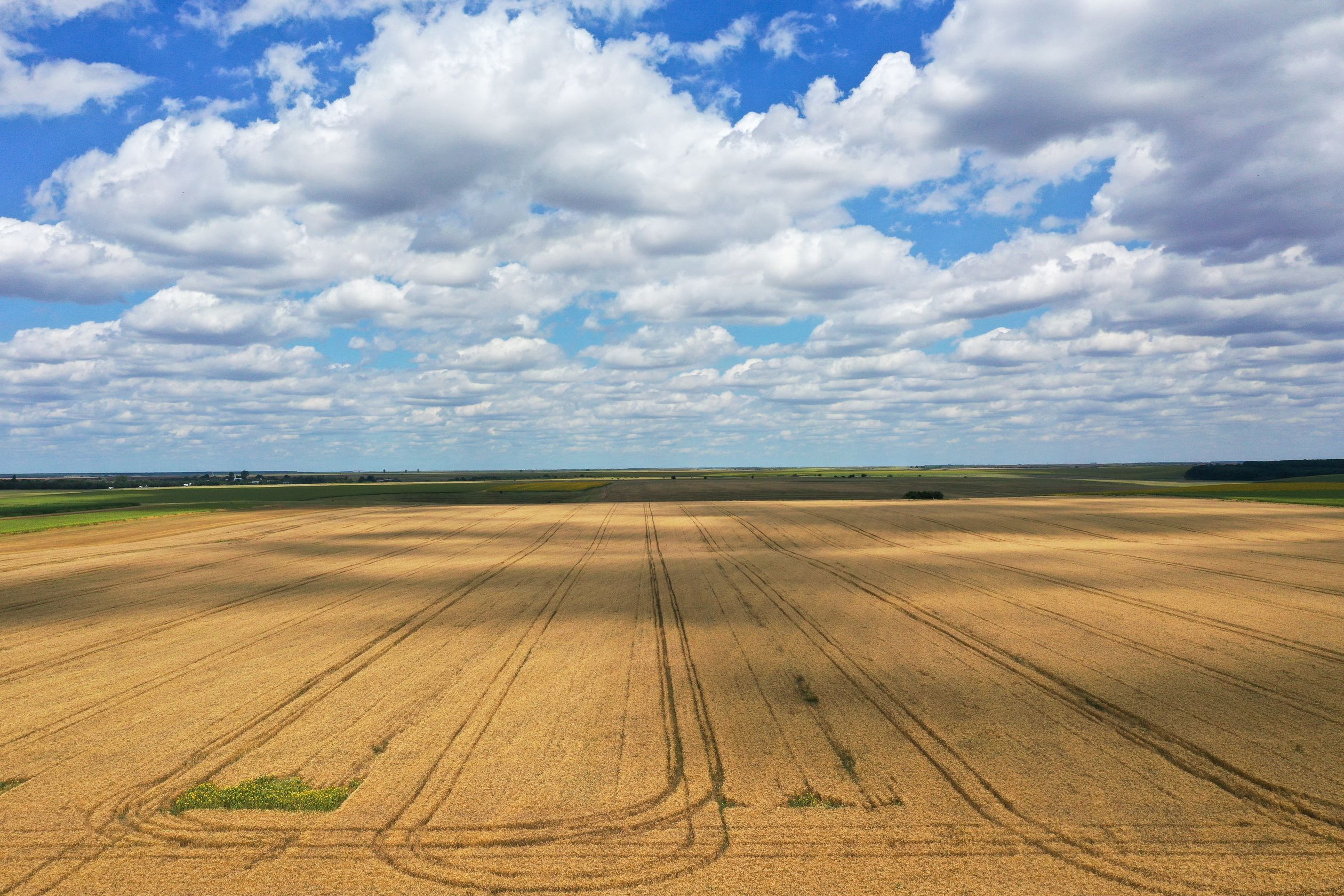 Holde Agri Invest and Toneli Holding sign a partnership to ensure ...