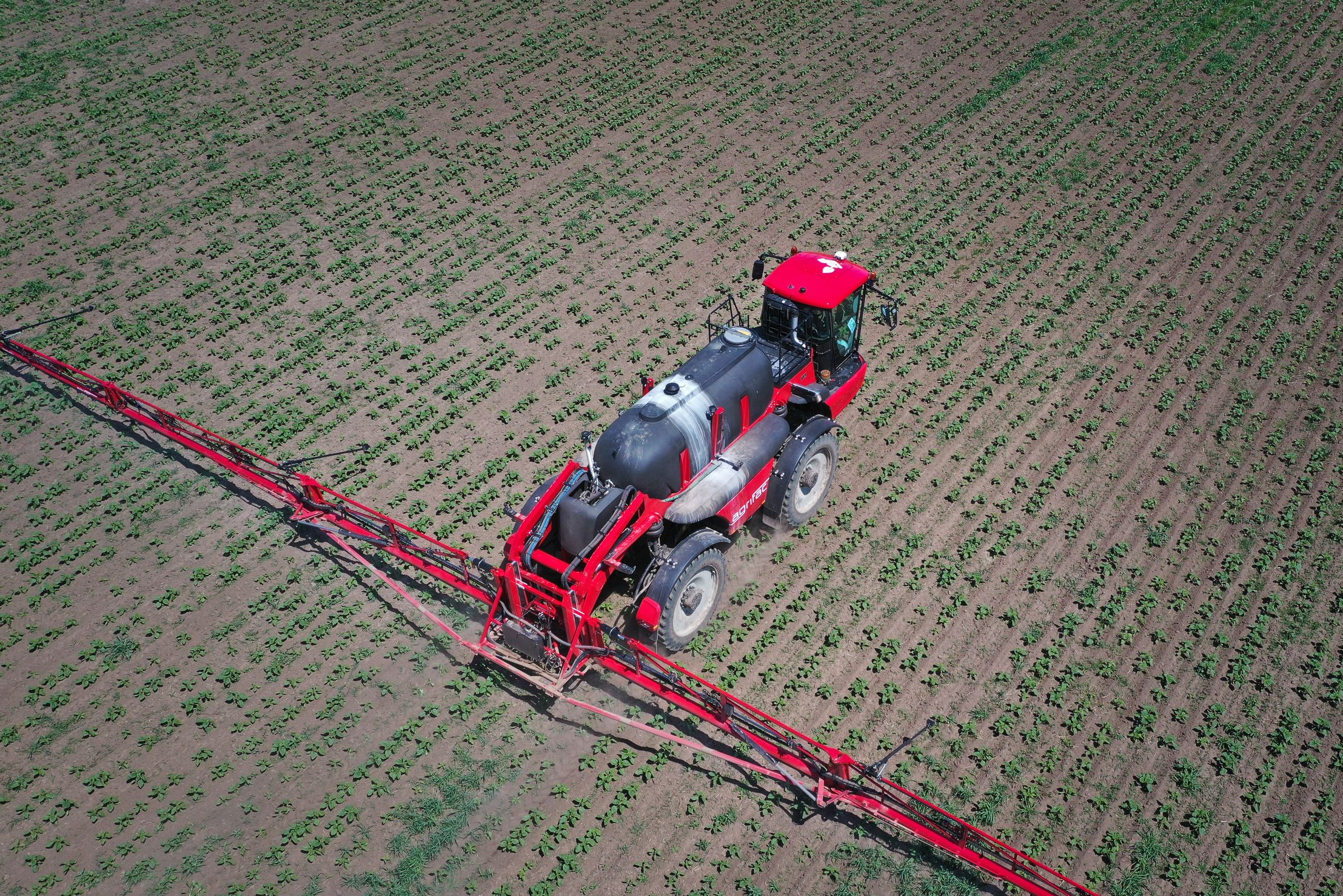 Changes in Holde Agri Invest’s management team – Bogdan Serghiescu ...